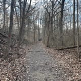 Lake Roland Park Red Trail , Maryland - 1,301 Reviews, Map | AllTrails