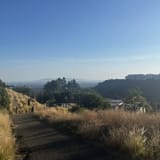 Getty View Trail, California - 851 Reviews, Map | AllTrails