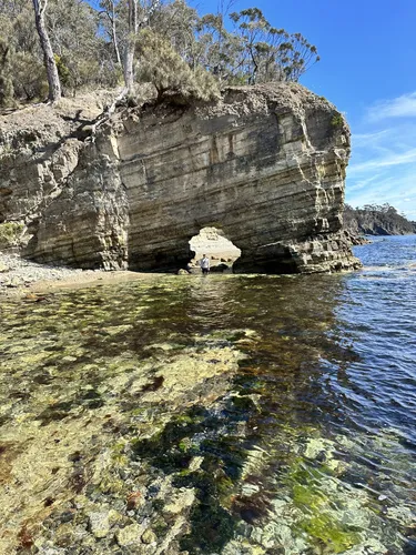 Best Hikes and Trails in Fossil Cove Conservation Area | AllTrails