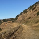 Getty View Trail, California - 851 Reviews, Map | AllTrails