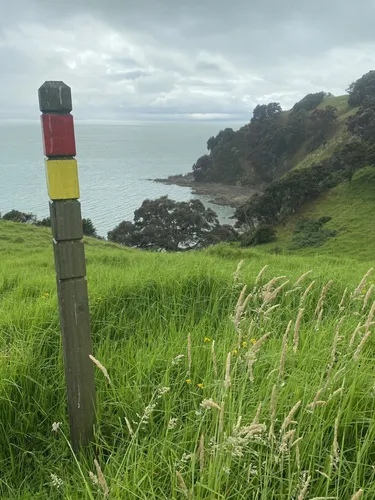 Best Hikes and Trails in Waitawa Regional Park | AllTrails