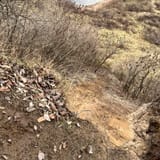 Crahen Valley Park Loop, Michigan - 1,318 Reviews, Map | AllTrails