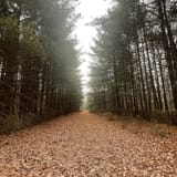 Appalachian Trail, Hosack Run, and Locust Gap Loop, Pennsylvania - 452 ...