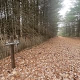 Appalachian Trail, Hosack Run, and Locust Gap Loop, Pennsylvania - 452 ...