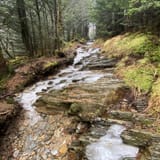 Mile High LeConte Challenge, Tennessee - 41 Reviews, Map | AllTrails