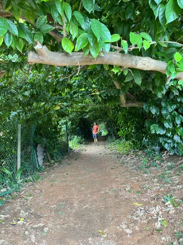 Best Bird Watching Trails in Ulu Tiram | AllTrails