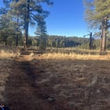 Sandys Canyon Trail, Arizona - 1,206 Reviews, Map | AllTrails