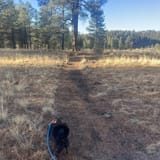 Sandys Canyon Trail, Arizona - 1,206 Reviews, Map | AllTrails