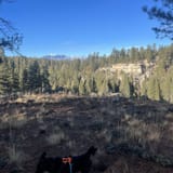Sandys Canyon Trail, Arizona - 1,206 Reviews, Map | AllTrails