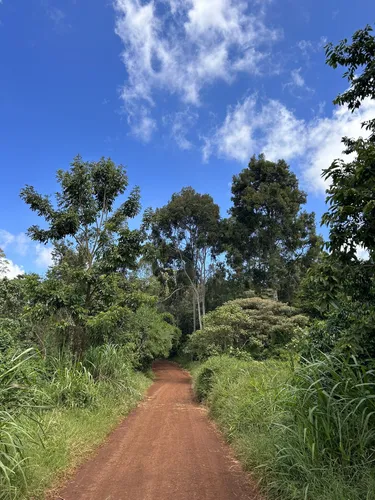 10 Best Trails and Hikes in Kenya | AllTrails