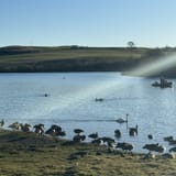 Thrybergh Reservoir Circular, South Yorkshire, England - 202 Reviews ...