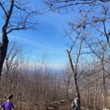Sunfish Pond via AT and Dunnfield Creek Trail Loop, New Jersey - 1,169 ...