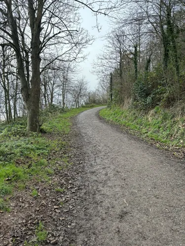 Best Hikes and Trails in Credenhill Park Wood | AllTrails