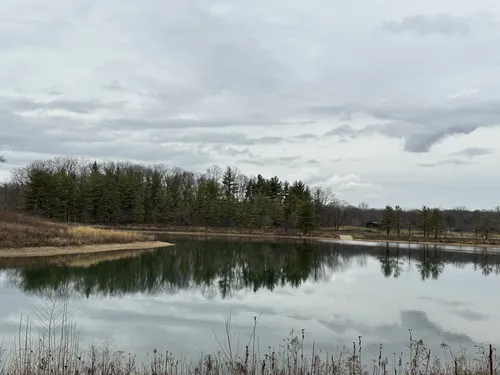 Best Hikes and Trails in Blackwell Forest Preserve | AllTrails