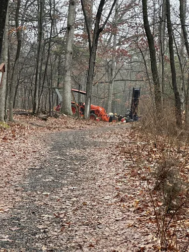 Best Hikes and Trails in Shrine Mont | AllTrails