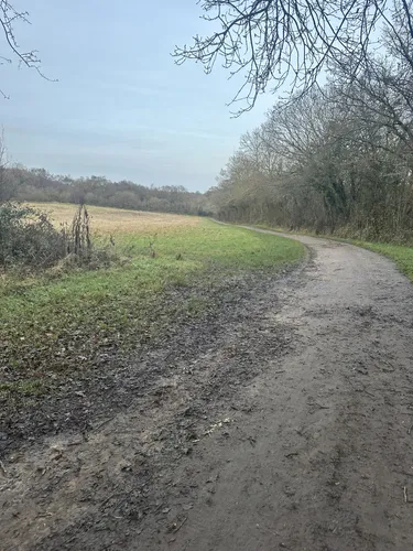 Best Hikes and Trails in Shotover Country Park | AllTrails