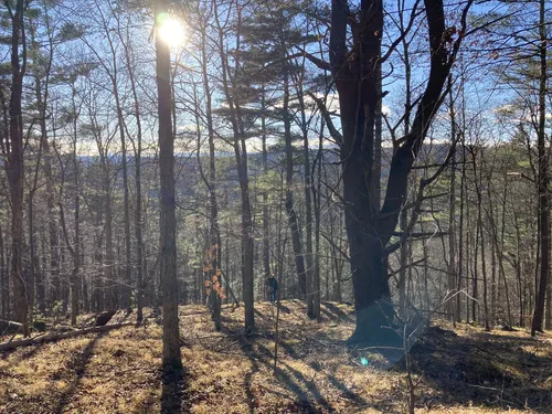 Best Hikes and Trails in Catamount State Forest | AllTrails