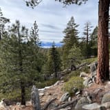 Castle Rock Loop Trail, Nevada - 1,856 Reviews, Map | AllTrails