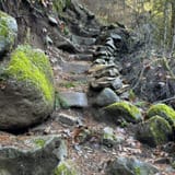 Oneonta Gorge Trail, Oregon - 701 Reviews, Map | AllTrails