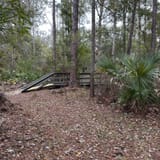 Brooker Creek Preserve Friends Trail, Florida - 58 Reviews, Map | AllTrails