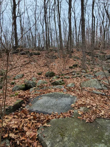 Best Hikes and Trails in God's Acre | AllTrails