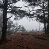 Mount Misery Trail, Connecticut - 899 Reviews, Map | AllTrails