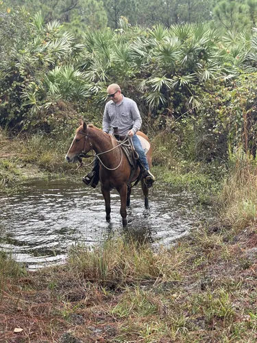 Best Hikes and Trails in Bluefield Preserve | AllTrails