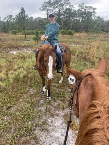 Best Hikes and Trails in Bluefield Preserve | AllTrails