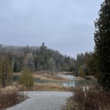 Heber Down Conservation Area Trail, Ontario, Canada - 633 Reviews, Map ...
