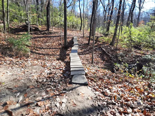 Best Hikes and Trails in Devou Park | AllTrails