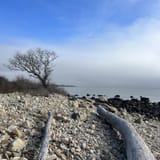 Bluff Point State Park and Coastal Reserve Loop, Connecticut - 3,491 ...