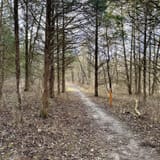 High Ridge Trail, Missouri - 299 Reviews, Map | AllTrails