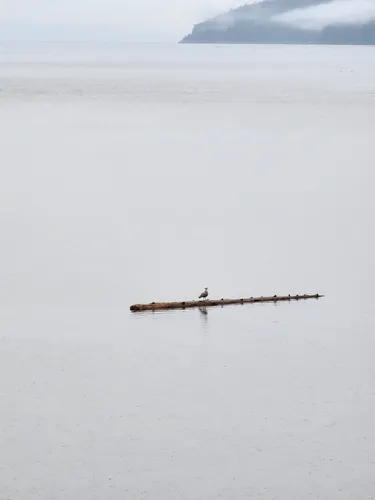 Best Hikes and Trails in Kitamaat Village | AllTrails