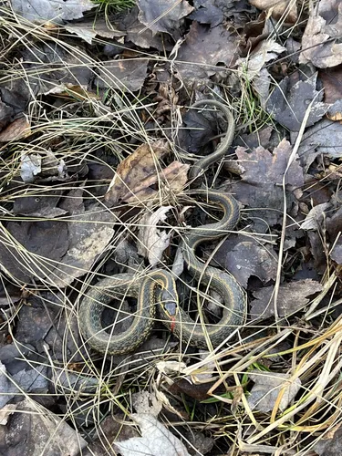 Best Hikes and Trails in Oxbow National Wildlife Refuge | AllTrails