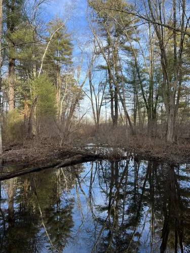 Best Hikes and Trails in Oxbow National Wildlife Refuge | AllTrails