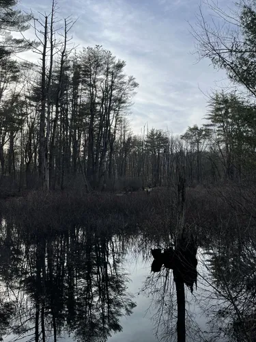 Best Hikes and Trails in Oxbow National Wildlife Refuge | AllTrails