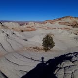 White Pocket Trail, Arizona - 737 Reviews, Map | AllTrails