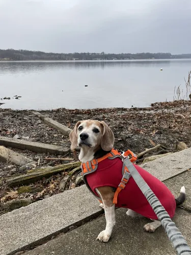 Best 10 Hiking Trails in Abraham Lincoln Park | AllTrails