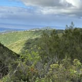 Hawaiʻi Loa Ridge Trail [PRIVATE PROPERTY], Oahu, Hawaii - 1,250 ...