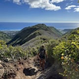 Hawaiʻi Loa Ridge Trail [PRIVATE PROPERTY], Oahu, Hawaii - 1,250 ...