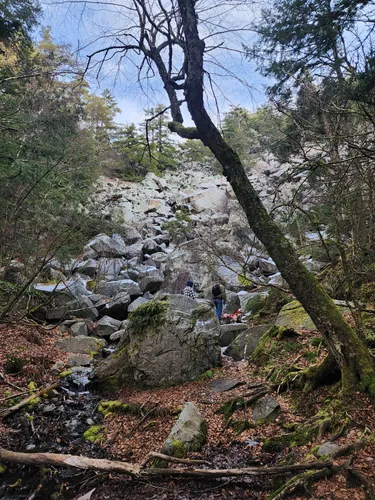 Best Hikes and Trails in White Rocks National Recreation Area | AllTrails