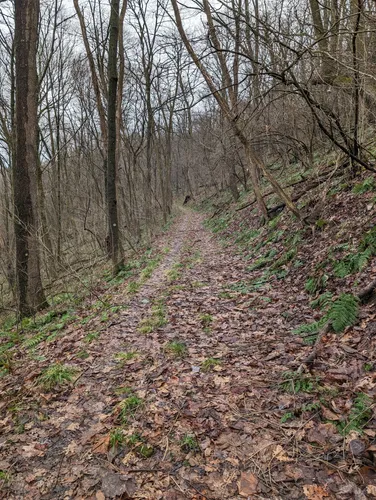 Best Walking Trails in Roaring Run Natural Area | AllTrails