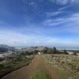 Sweeney Ridge Trail via Mori Ridge, California - 1,545 Reviews, Map ...