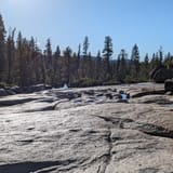 Bassi Falls Short Route, California - 275 Reviews, Map | AllTrails