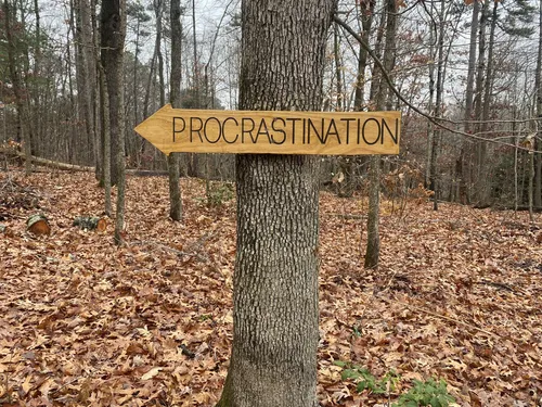 Best Hikes and Trails in Observatory Hill Trail System | AllTrails