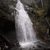 Murhut Falls Trail, Washington - 892 Reviews, Map | AllTrails