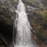 Murhut Falls Trail, Washington - 892 Reviews, Map | AllTrails