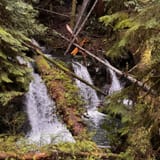 Murhut Falls Trail, Washington - 892 Reviews, Map | AllTrails