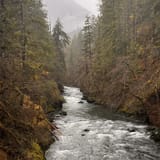 Murhut Falls Trail, Washington - 892 Reviews, Map | AllTrails