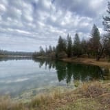 Finnon Reservoir Loop, California - 71 Reviews, Map | AllTrails